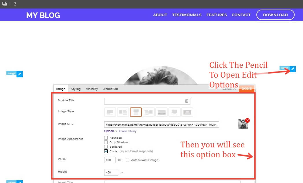 How To Edit Skins And Layouts In Themify - The Digital Marketing Professor